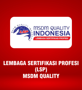 LSP MSDM