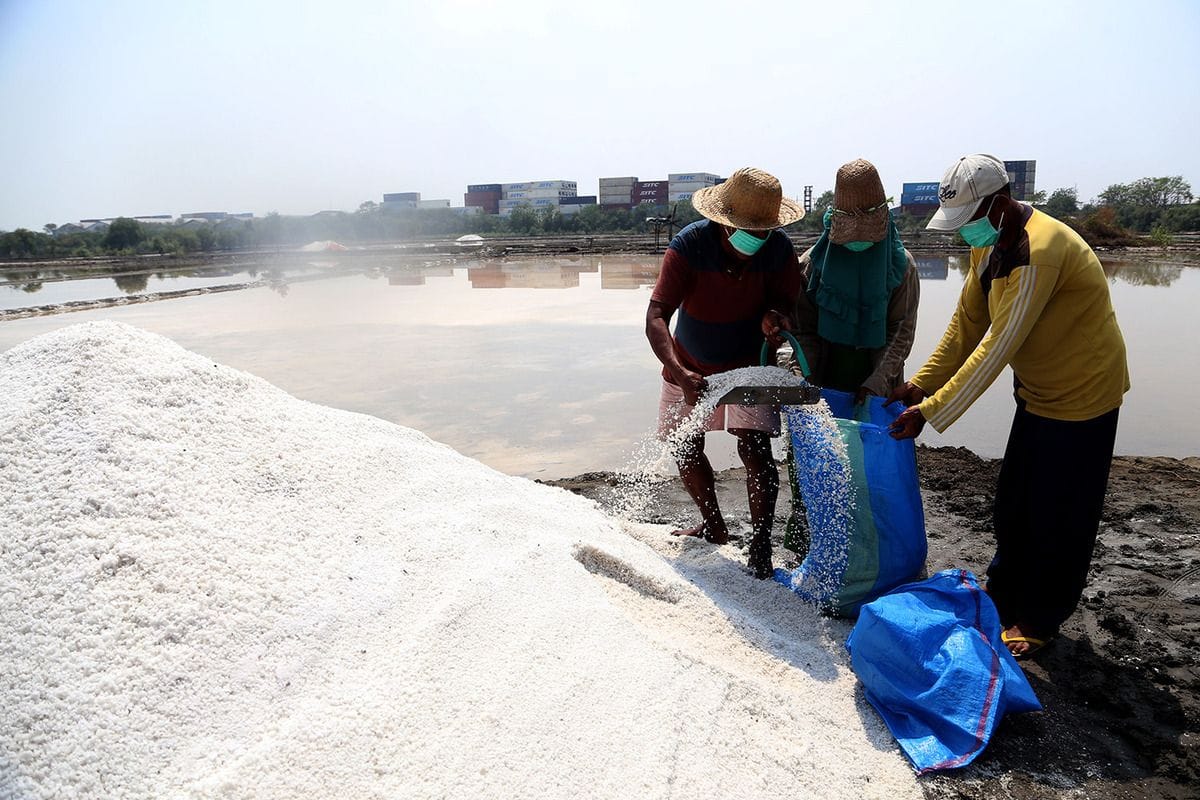 Target 325 Ribu Ton, Produksi Garam Rakyat Sampang Baru Capai 20 Ton